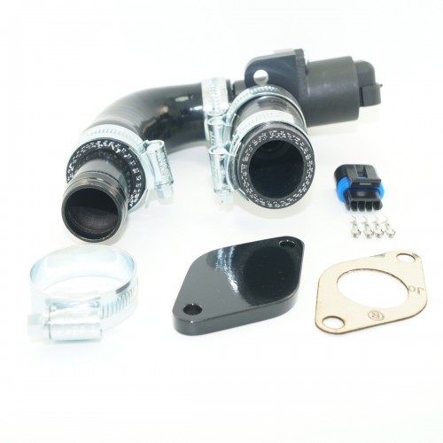 Emerald's Jaguar V12 IACV Conversion kit (OE Manifold)